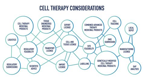 Achieving Successful Cell Therapy Outcomes Through Integrated Expertise