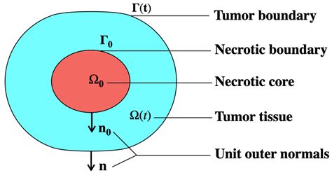 illustration of the computation domain download scientific diagram