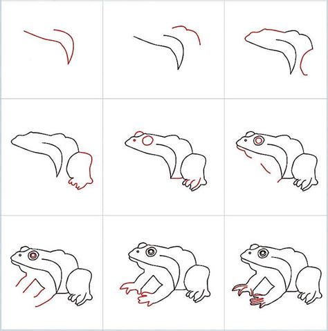 How To Draw A Nice Frog Step By Step Drawing Photos