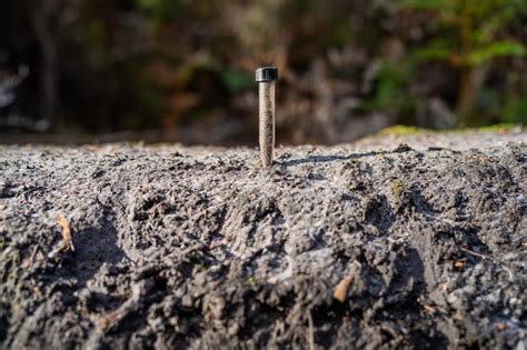 Premium Photo University Babe Conducting Research On Forest Health Farmer Collecting Soil