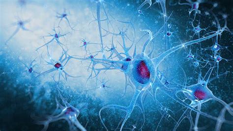 Nursing Care Of Motor Neurone Disease Mnd Ausmed