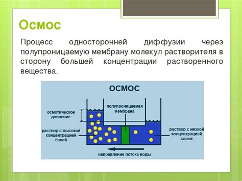 Диффузионные мембраны и причины их популярности