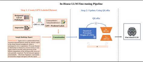 논문 리뷰 Fine Tuning In House Large Language Models To Infer Differential Diagnosis From