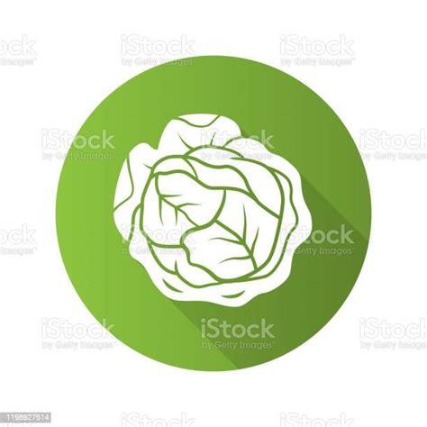 白菜平面設計長陰影字形圖示向量圖形及更多一組物體圖片 一組物體 互聯網 健保和醫療 Istock