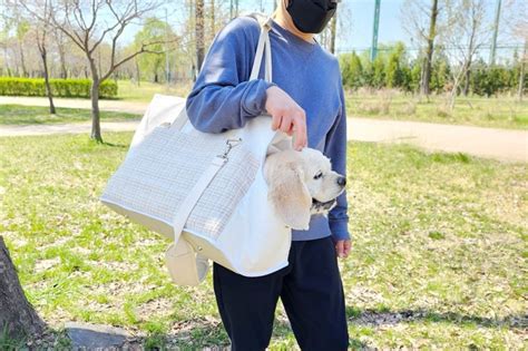 강아지 이동가방 추천 15kg 중형견도 사용 가능한 쉼쉼가방 네이버 블로그