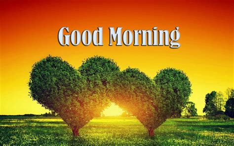 100 Good Morning Hd Wallpapers