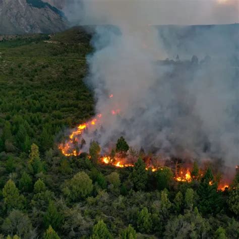 Incendios forestales Río Negro le solicitó medios aéreos al Gobierno