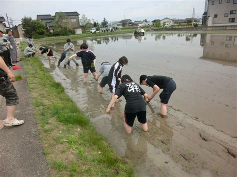 魚喜JAあいち経済連マルカン酢ミツハシ 田植え体験 JAいなば