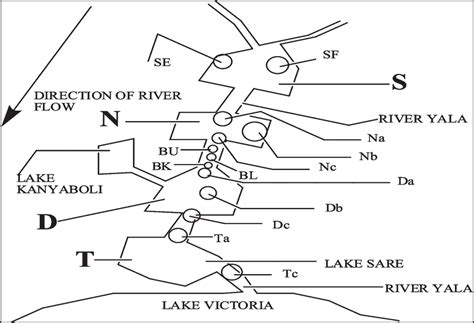 Sampling Sites Model For The Various Regions Along River Yala