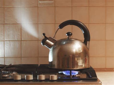 ¿cómo Y Por Qué Hervir Agua Para Tomar Guía Práctica