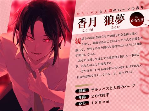 変態ヤンデレインキュバス夫と契約種付けsex ～せっかくの結婚記念日なのに淫魔の夫と台無し交尾子作りで契約ってどういうこと～ 漂流