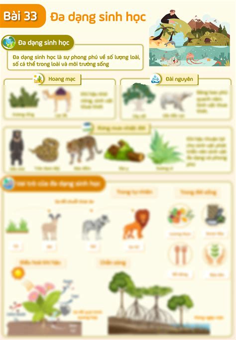 Solution Infographic Of Biodiversity Studypool