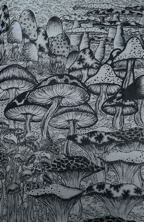 Detailed Mushroom Sketch