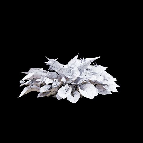 Viola Odorta Flower 3d Model Cgtrader