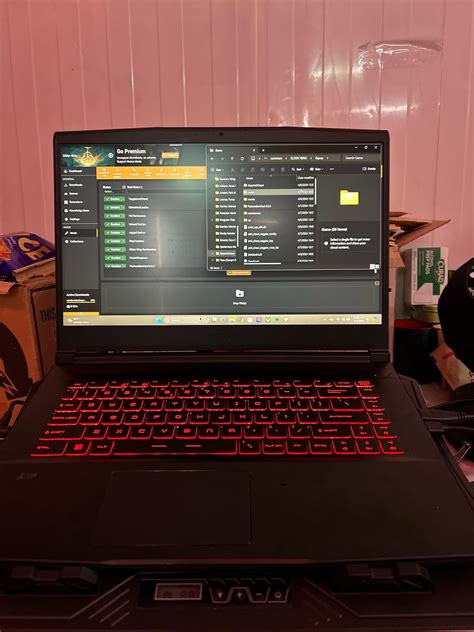 Vortex Not Working Reldenringmods