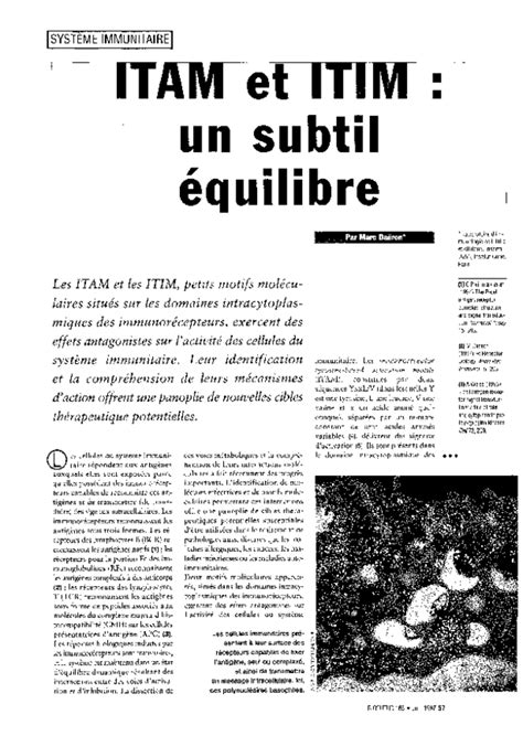 Pdf Itam Et Itim Un Subtil équilibre