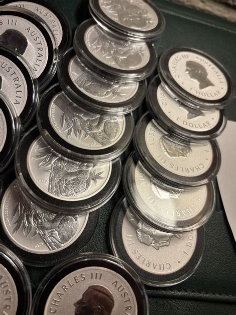 Koala Timestamp Album On Imgur