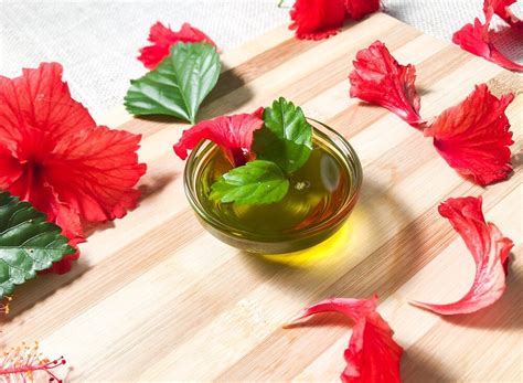 Hibiscus Essential Oil At Rs 13001kg In Ghaziabad Id 26178255212