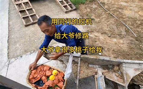 借同行的挖机给大爷修路，大爷拿桃子给我，助人为乐 陈师傅开挖机 陈师傅开挖机 哔哩哔哩视频