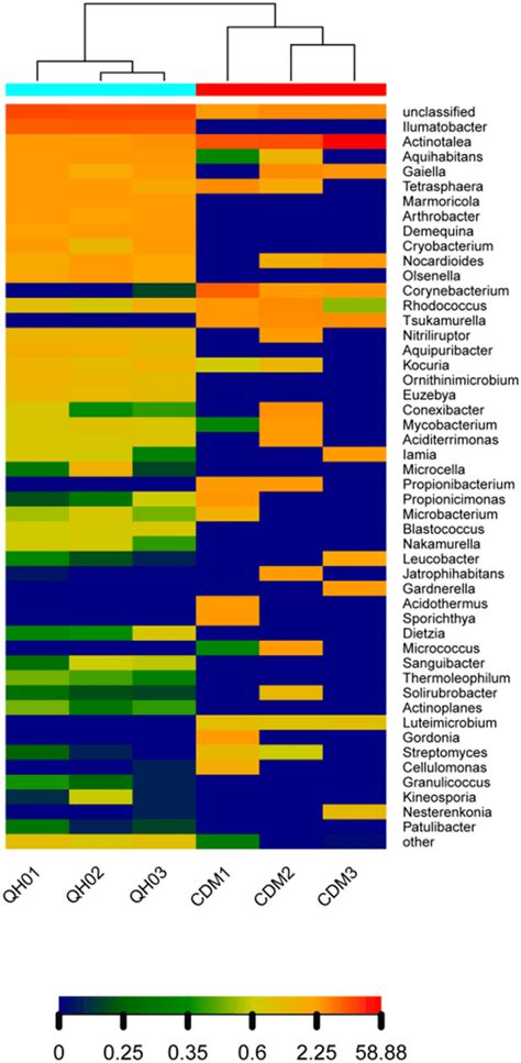 Microbial Community Heatmap Analysis At The Genus Level In The Qaidam