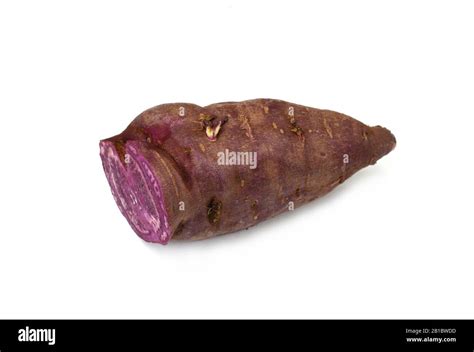 Sweet Potatoes Isolated On White Background Ipomoea Batatas Batata