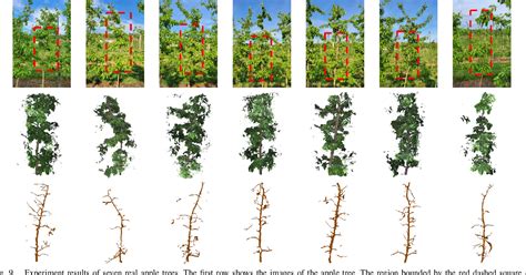 Figure From Occlusion Reasoning For Skeleton Extraction Of Self Occluded Tree Canopies