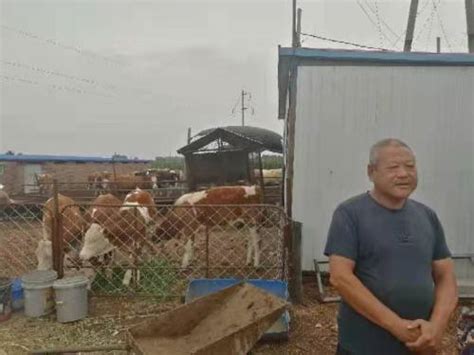 调兵山尚三家子村村民养牛走上致富路 腾讯新闻