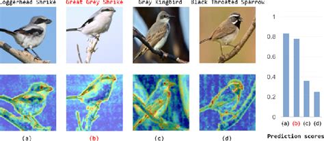 Semantic Feature Integration Network For Fine Grained Visual