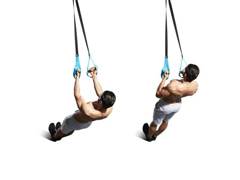 Лучшие Trx упражнения 12 основных движений для развития мышц всего тела