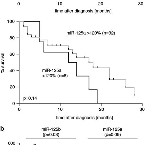 Mir 125b Expression Is Directly Correlated With Nf Kb Activity In Gbm