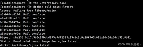 Docker Pull Nginx Error Response From Daemon Head Https Registry 1