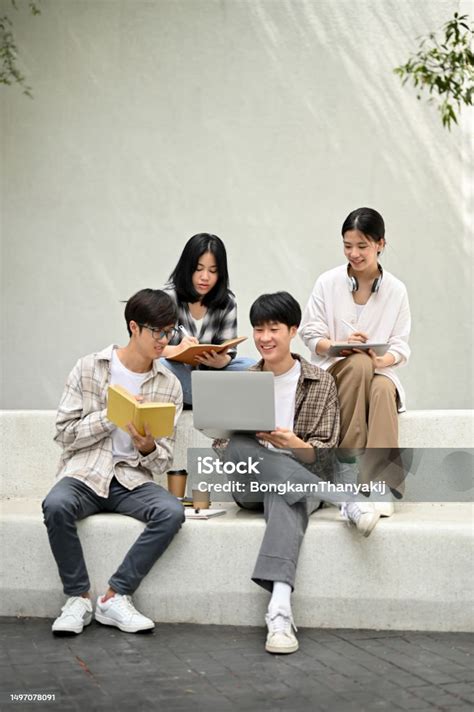 벤치에 앉아 함께 숙제를 하거나 과외를 하는 아시아 대학생들 학생에 대한 스톡 사진 및 기타 이미지 학생 단체 캠퍼스 Istock