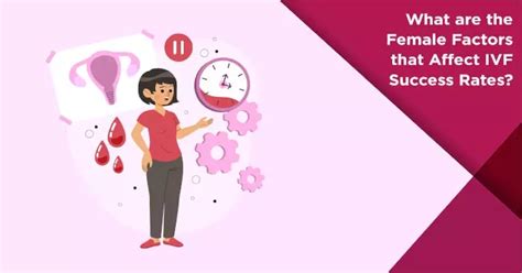 Exploring Female Factors In Ivf Success Rates Nova Ivf Fertility