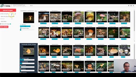 Image Labeling SentiSight Ai