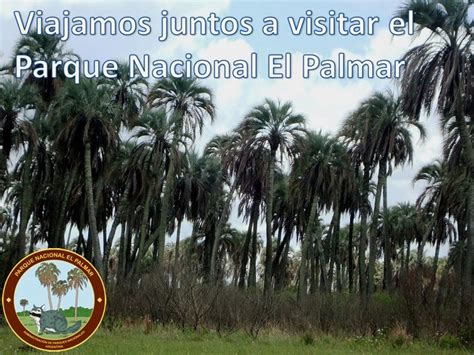 Parque Nacional El Palmar Entre Ríos Radio Solar