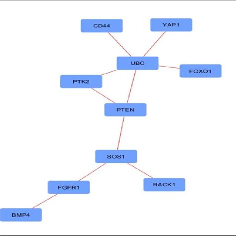 Hub Proteins From Generated Protein Protein Interaction Ppi Network