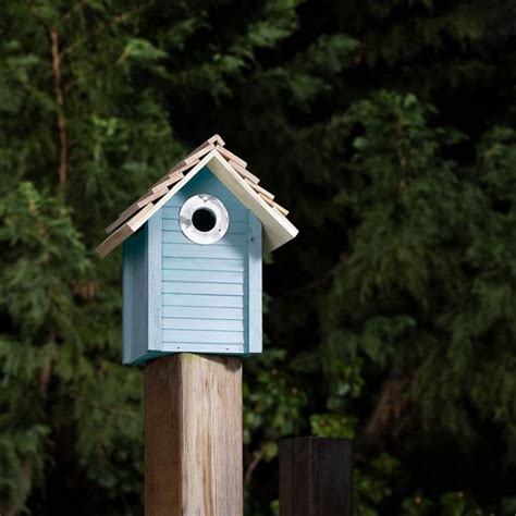 Vogelhuisje Van Echt Hout Nestkastje Om Op Te Hangen Decoratief Houten Bol