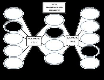 Cells Concept Map By Angela Holley TPT