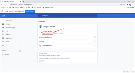 使用selenium爬取动态网页信息【网络通信编程】使用selenium动态爬虫 Csdn博客