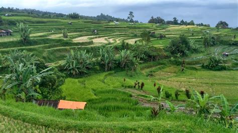 Pesona Desa Terindah Di Pariangan Sumatera Barat Ini Bikin Takjub