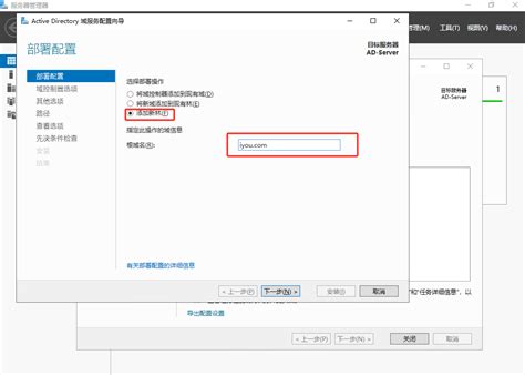 Windows server 2022 搭建 AD 域服务器 一毛丶丶 博客园