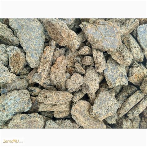 Продам жмых подсолнечный, купить жмых подсолнечный, Воронеж — ZernoRU.com