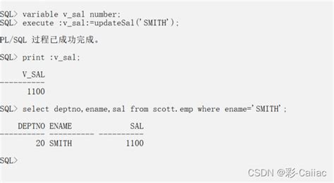Oracle Plsql现要求使用程序对emp表中员工“scott”的工资水平按以下规则作一判断 完成后以“ Csdn博客
