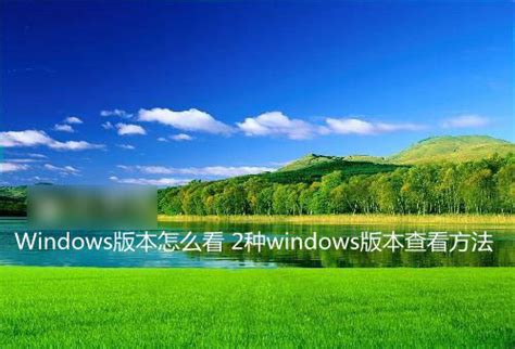计算机操作系统版本号怎么查看windows系统版本怎么看？2种查看windows版本的方法介绍 Csdn博客