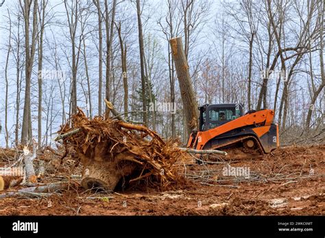 In Preparation For Construction Of Residential Complex Excavators Tractors Are Uprooting Trees