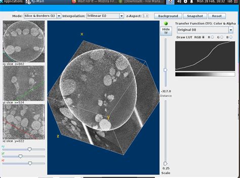 3d Volume Viewer R Imagej