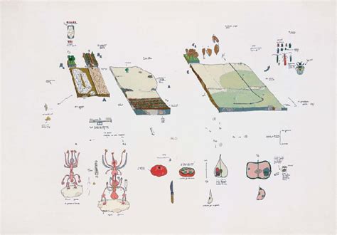Gianfranco Baruchello Agricola Cornelia V Phantasmatic Parasites Of