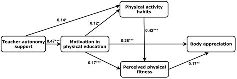 Association Between Motivation In Physical Education And Positive Body Image Mediating And