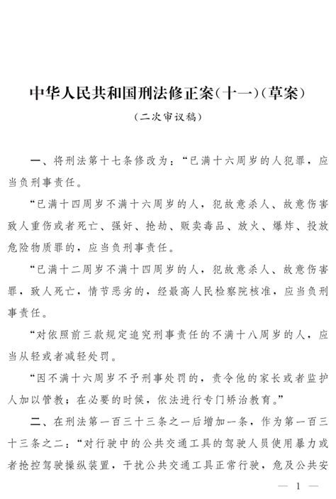 刑法修正案十一草案二审稿