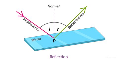Light Shadows And Reflections Class 6 Chapter 11 Science Notes